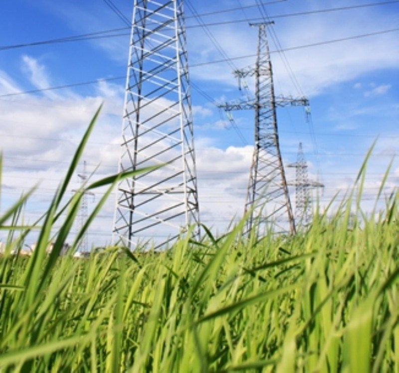 Brazil to Overtake US as World's Leader for Biopower Install