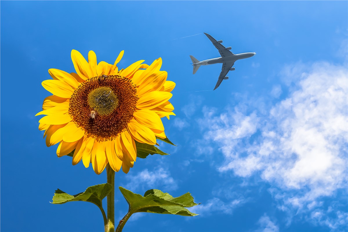 GE Creating the Future of High-Efficiency, Net-Zero Carbon F